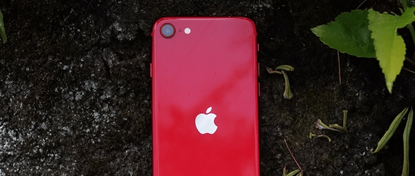 iPhone SE 5G可能推迟：屏幕供应不上_部手机_苹果_新品