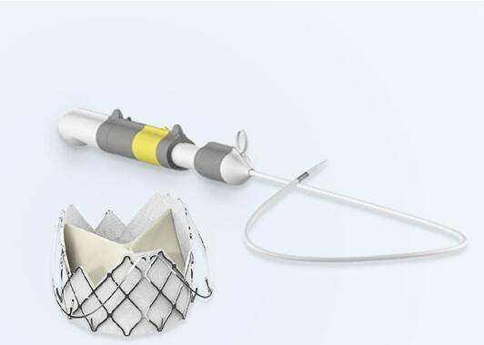 心脏瓣膜病变患者的福音！当年的介入瓣膜“优等生”再出发_J-Valve_手术_置换术