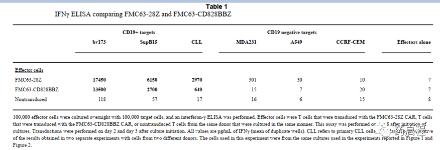 抗CD19嵌合抗原受体的构建和临床前评价_细胞_scFv_克隆