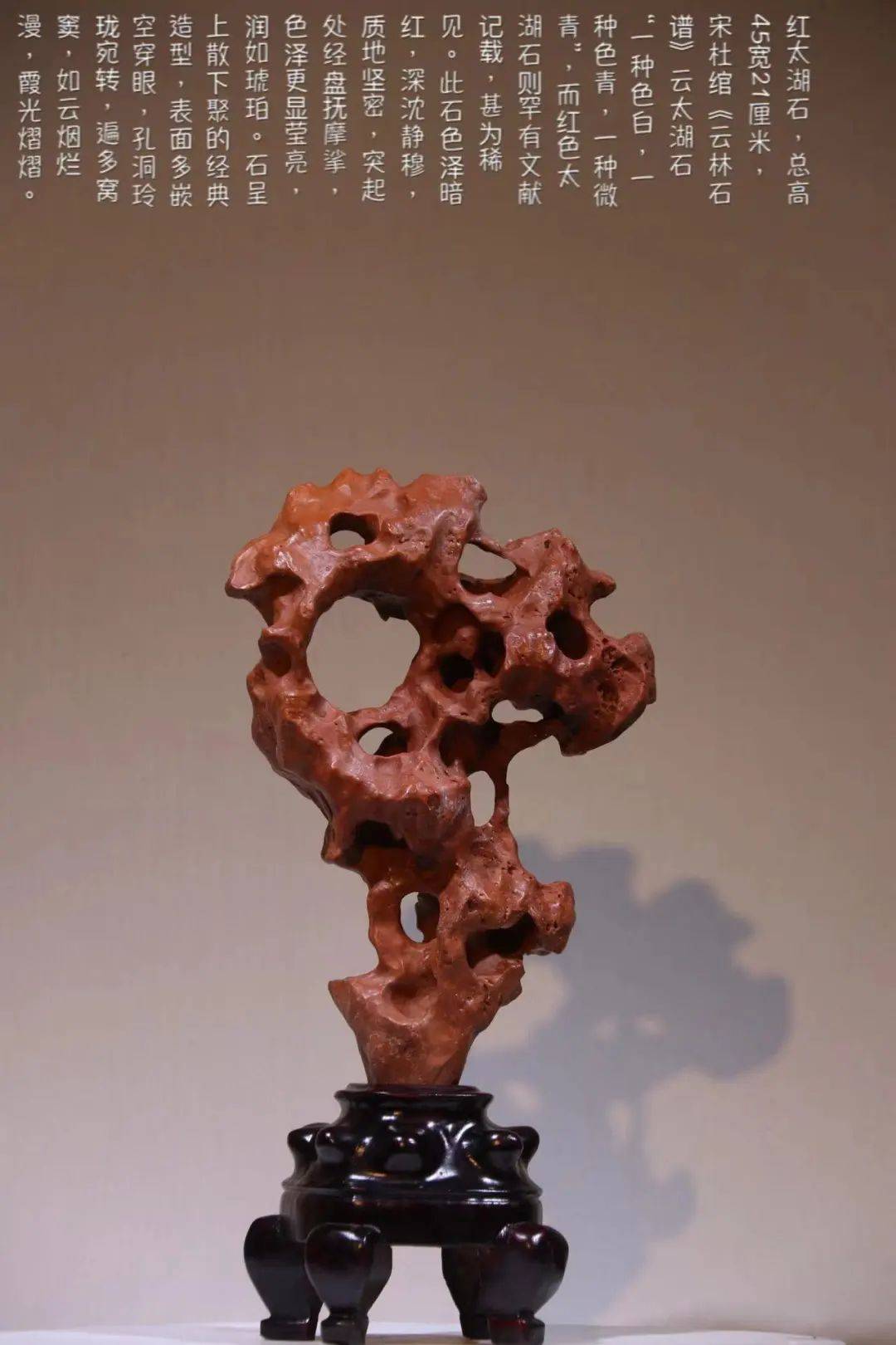 太湖石立峰《40》_色泽_ccjd_石呈上