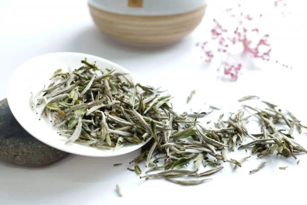 白茶“茶毫”究竟藏着什么营养秘密，让爱茶人如此着迷？_福鼎_产区_茶叶