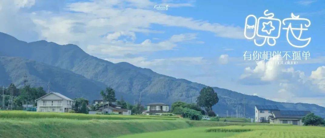 一个心里没你的男人，微信上才会回复你这 4个字”男人微信