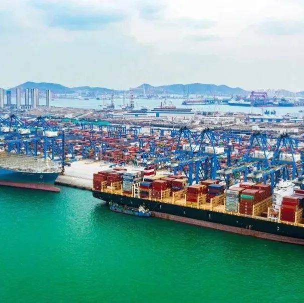 英语新闻｜ Container throughput hits new high at Qingdao Port_has_branch_the