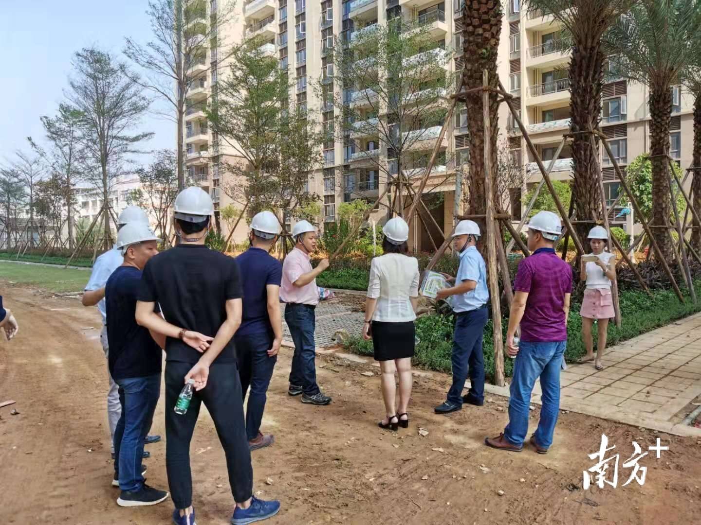 5年8个项目，碧桂园深耕汕头“两潮”地区_黄时浩_团队_珑悦