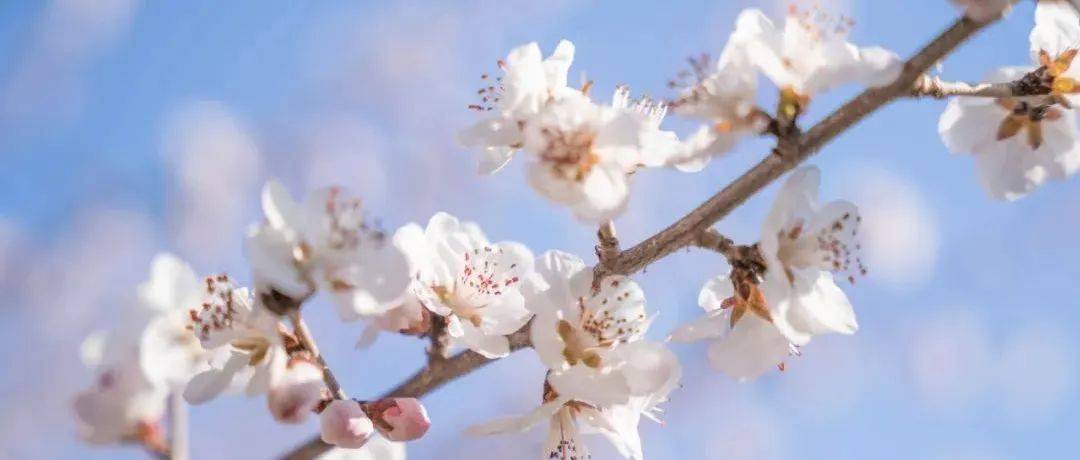 致大东软全体驻校教职员工家属的一封信_校园_工作_防控