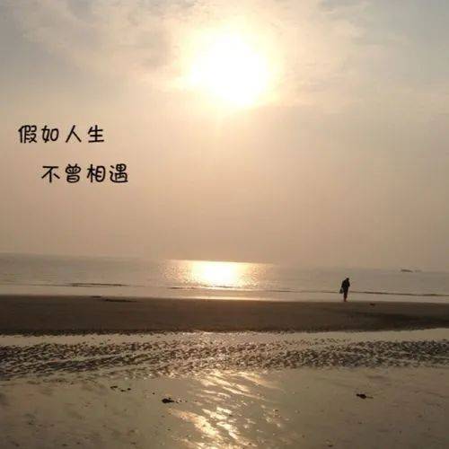 假如人生不曾相遇很美）生活朋友缘分