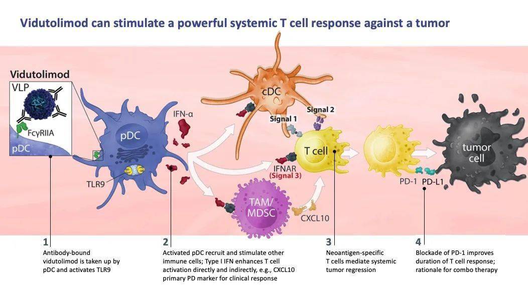 速递 | 拟2.5亿美元囊获双机制免疫刺激剂，再生元扩展免疫肿瘤学管线_康德_治疗_公司