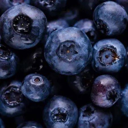 Yunnan Blueberry Prices Fall by Over 100 Yuan per Kilogram_the_and_in