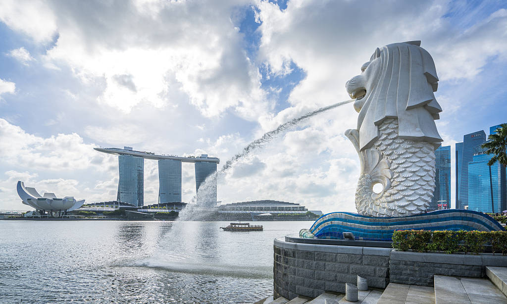 张晨怡：新加坡华人的“马来化”、“英化”与“再华化”_文化_影响_运动