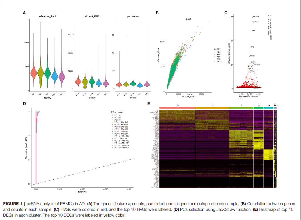 非肿瘤之scRNA-seq和bulk RNA结合思路_细胞_研究_Bulk