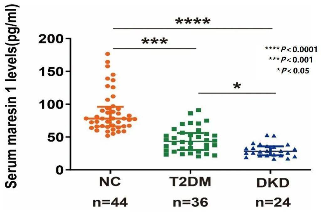 Maresin 1——“消退”糖尿病肾病的新型介质_炎症_水平_血清
