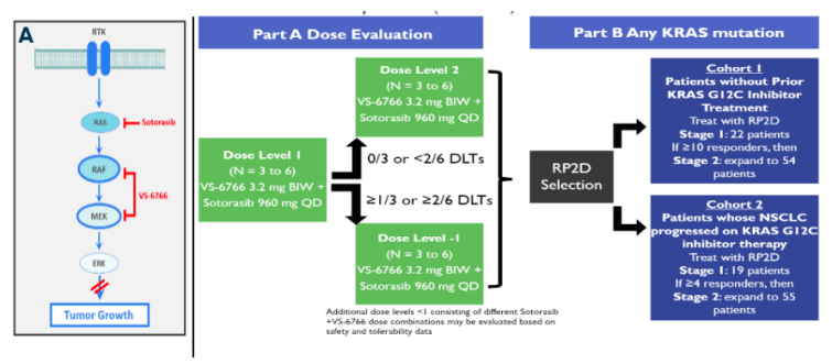 邢镨元教授： CodeBreaK 100研究两年期随访结果公布——KRAS靶向药正在路上_患者_肿瘤_治疗