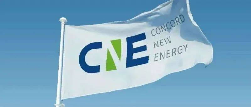 VI手册资源库：协合新能源集团 CNE 品牌VI手册_中国风电集团_字母_风机