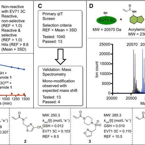 【APSB推荐】开发针对EV71 3Cpro 和SARS-CoV-2 Mpro双靶点的共价抑制剂并揭示其抑制机制_研究_induce_崔胜
