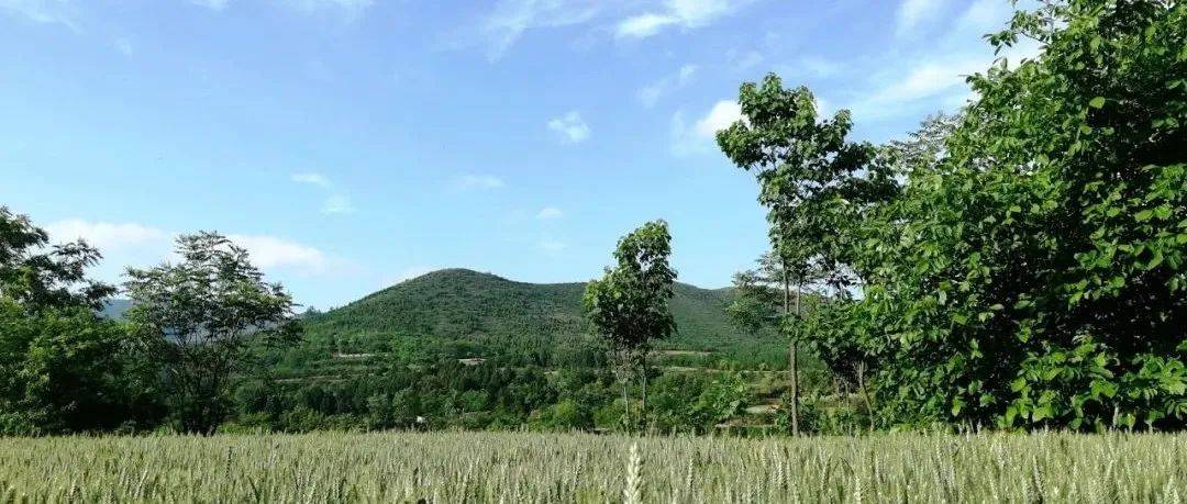 敢不敢全面禁用化肥、农药？惨痛的教训，不得不考虑！_国家_发展_后果