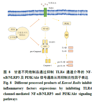 基于TLR4/NF-κB/NLRP3和PI3K/Akt通路研究甘遂及其炮制品对水负荷小鼠的利尿作用及机制_http_数据库_成分
