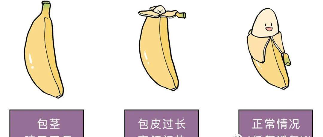 暑期包皮手术注意事项麻醉饮食家长