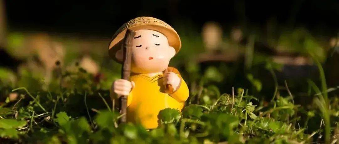 后半生最好的活法：1个字！生活xidu风水