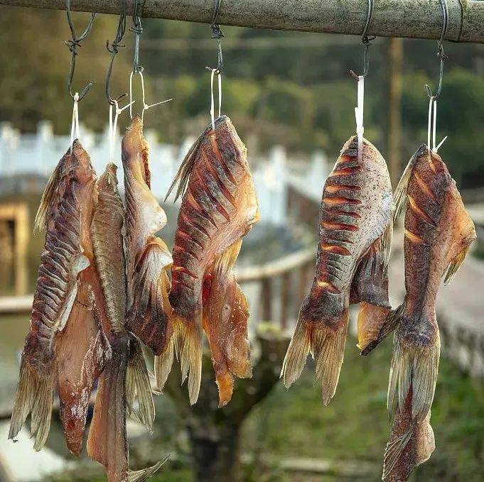 【技术贴】注意了！它们是藏在餐桌上的“食物刺客”_致癌_毒素_食品