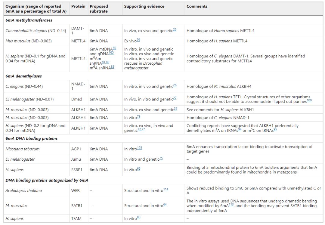 这篇来自59分Nautre子刊的重磅综述为你揭秘6mA的前世今生！_原核生物_细胞_甲基
