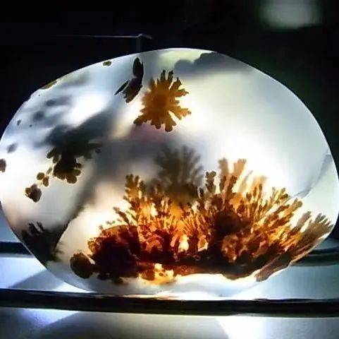 大自然的绝美天工—海洋玉髓！每一块都举世无双！_图案_都让人_画面