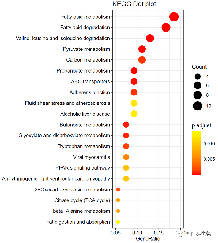 基因功能注释包下载、制作与富集分析_ggplot_kegg_db