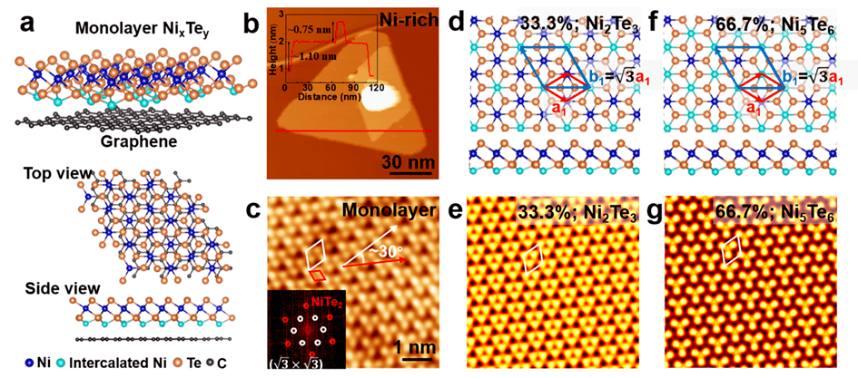 北大团队提出新型超薄镍基碲化物的制备策略_研究_T-NiTe_结构