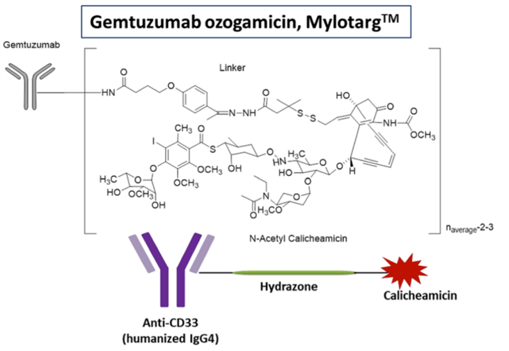 上市抗体偶联药物(ADCs)系列第一期：全球首款ADC Mylotarg_mg_临床_毒性