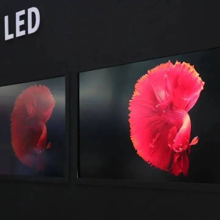 今年MLED赛道不简单？2022深圳商用显示技术展将为您揭晓_Mini_应用_Micro