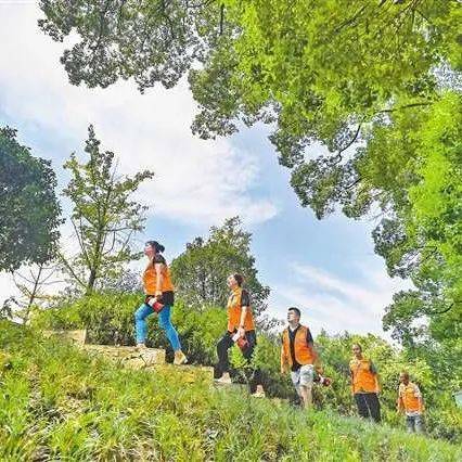 Fire guards are busy patrolling the mountain_making_team_Visual