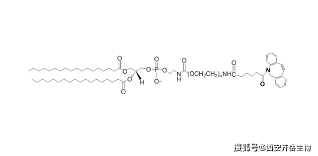 点击化学DBCO修饰脂类（DBCO-PEG-DSPE，DBCO-DMG/DOPE/DMPE/DPPS ）_磷脂_棕榈_肉豆蔻