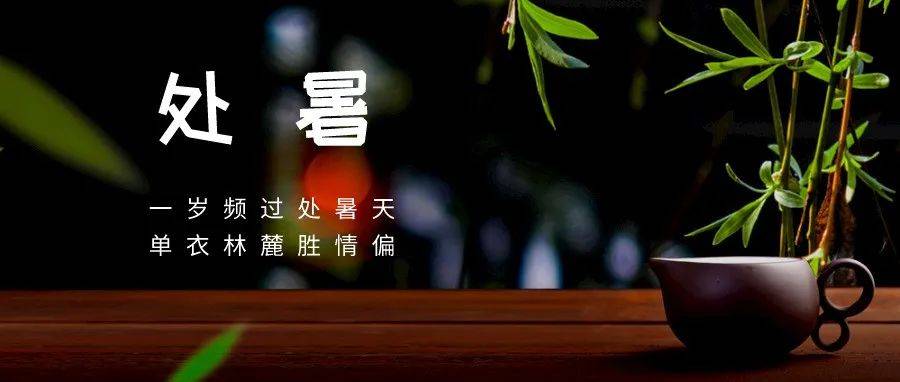 离离暑云散，袅袅凉风起 Ekwing 处暑ofwither荷花