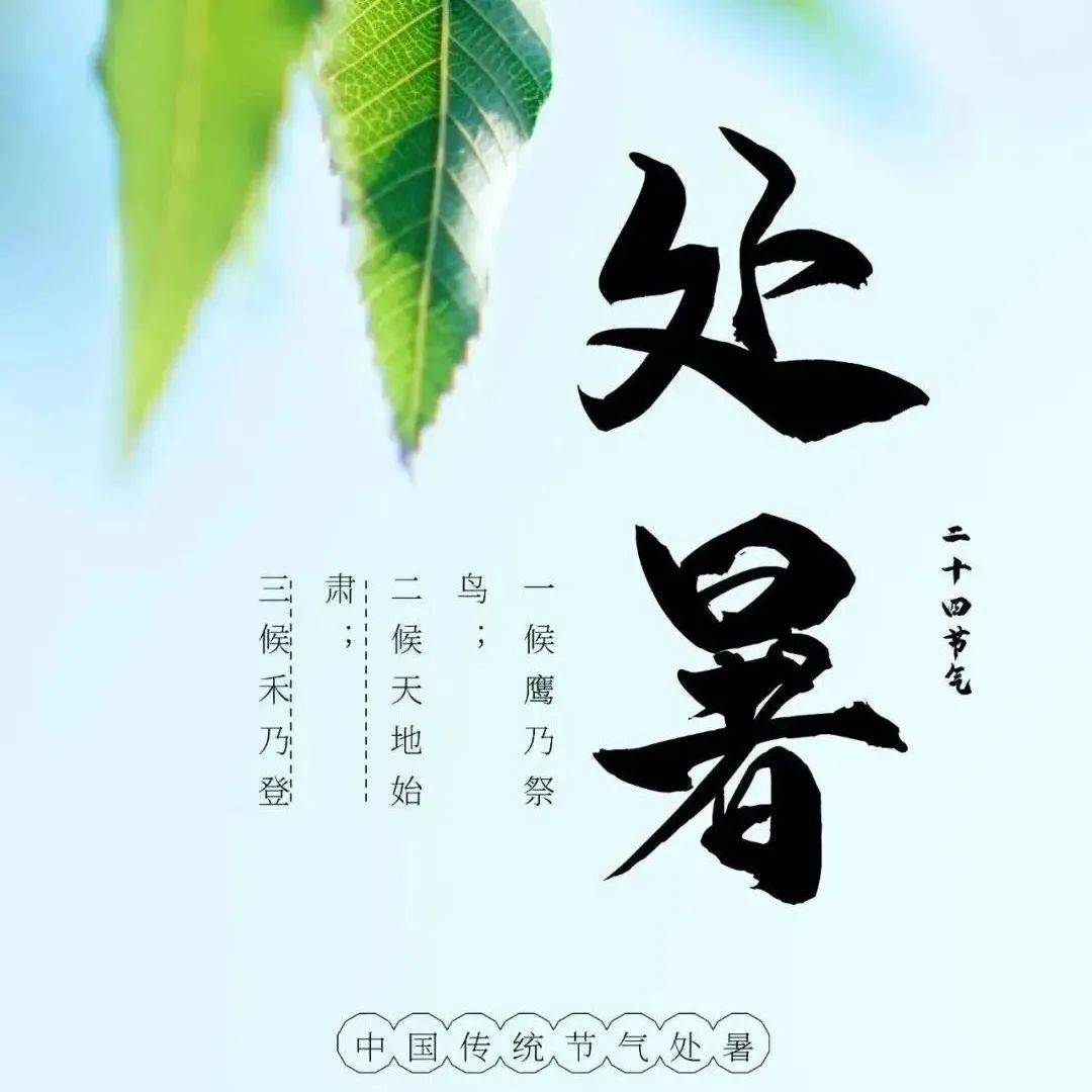 今日处暑 秋高气爽 暑气渐消时节宿迁人们