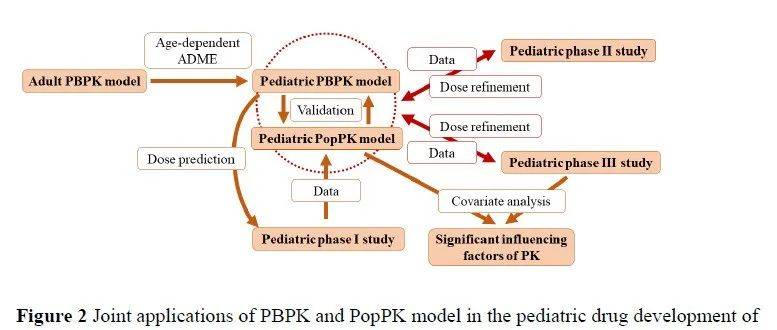 联合应用 PBPK 模型和PopPK 模型助力儿科用药研发中的剂量选择：以利伐沙班为例_药物_方法_儿童