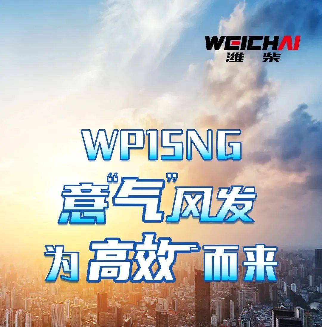 节能| 陆地之王 ！WP15NG为高效而来，解决燃气机三大痛点!_End_同行_来源