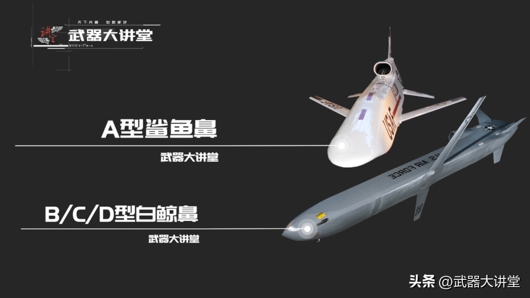 可携带核弹头奔赴2400KM，命中精度高达2.5米，AGM-86巡航导弹_方案_战斗部_型号