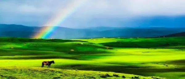 四川三处草原入选国家第一批“红色草原”，其中两个在阿坝！_红原_红军长征_林业