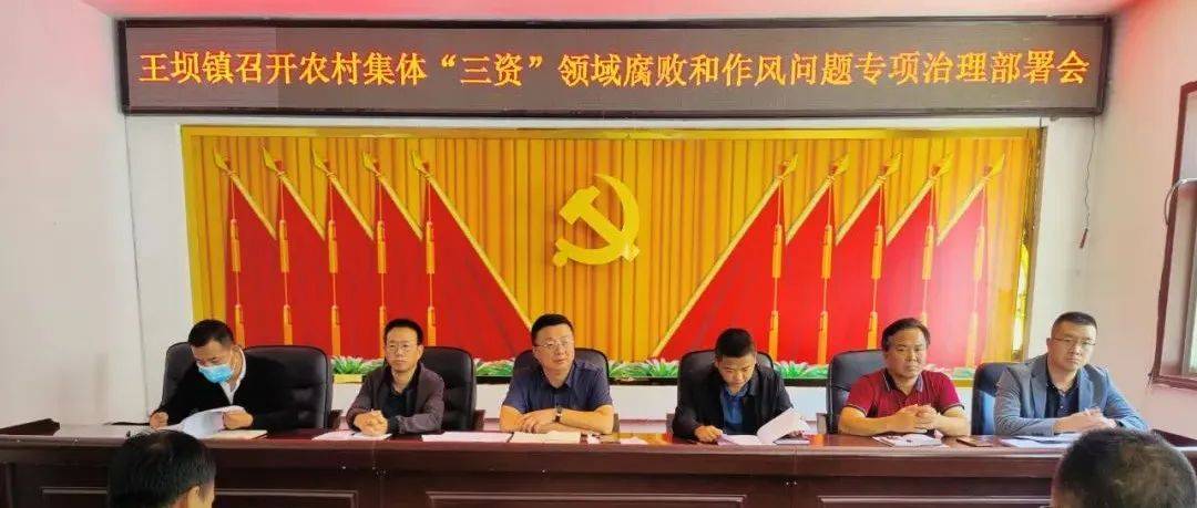 王坝镇召开农村集体“三资”领域腐败和作风问题专项治理部署会管理工作整治会议 
