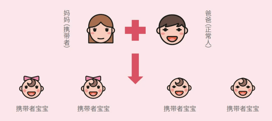 Leber遗传性视神经病变(LHON)——不在染色体上的遗传性疾病_患者_线粒体_视盘