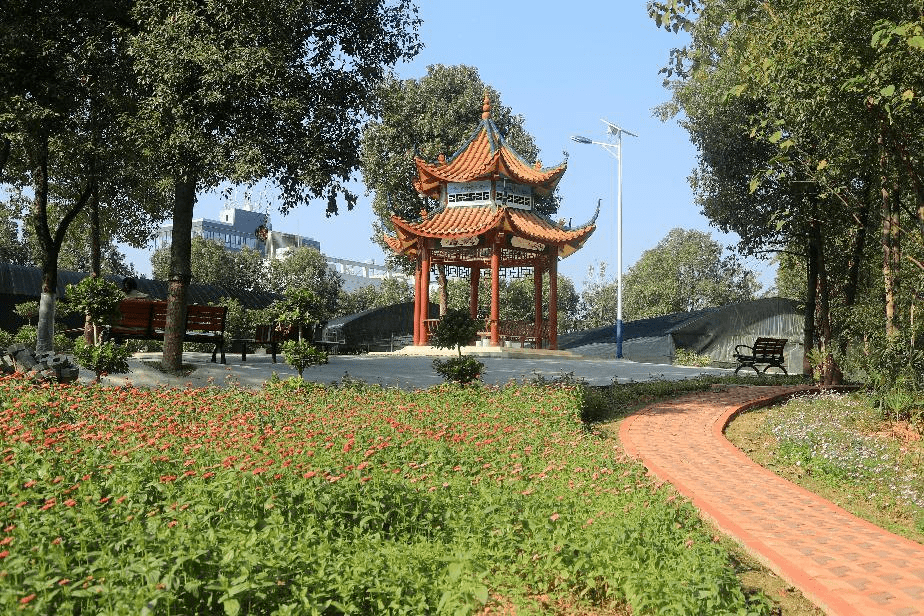 祁阳：“口袋公园”装满民生幸福_健身_城市_陶铸