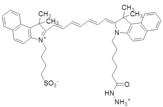 吲哚菁绿（ICG）一种近红外I区荧光染料_组织_肿瘤_nm