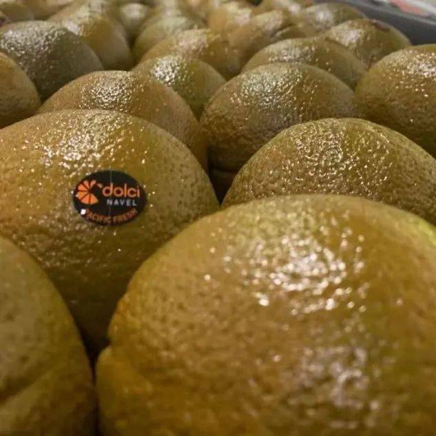 Fruitday Marks 6 Years of China Sales Growth for Australian ..._Dolci ...