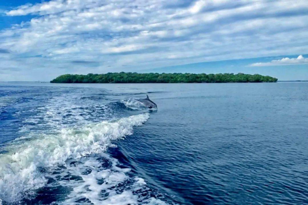 0013 Pumpkin Key | 购买私人岛屿及加入美国顶级圈层的投资机会_Sound_the_Card