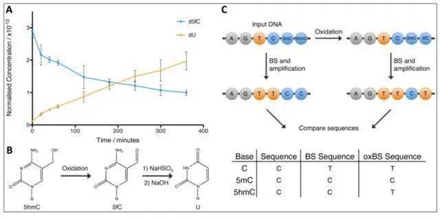 关于甲基化和羟甲基化测序的技术介绍_hmC_oxBS-seq_氧化