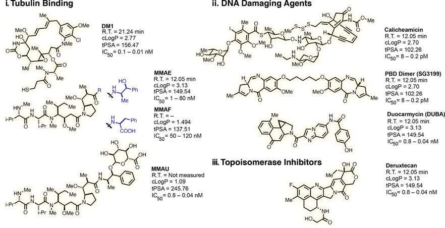ADC的“构效关系”_药物_分子_毒素