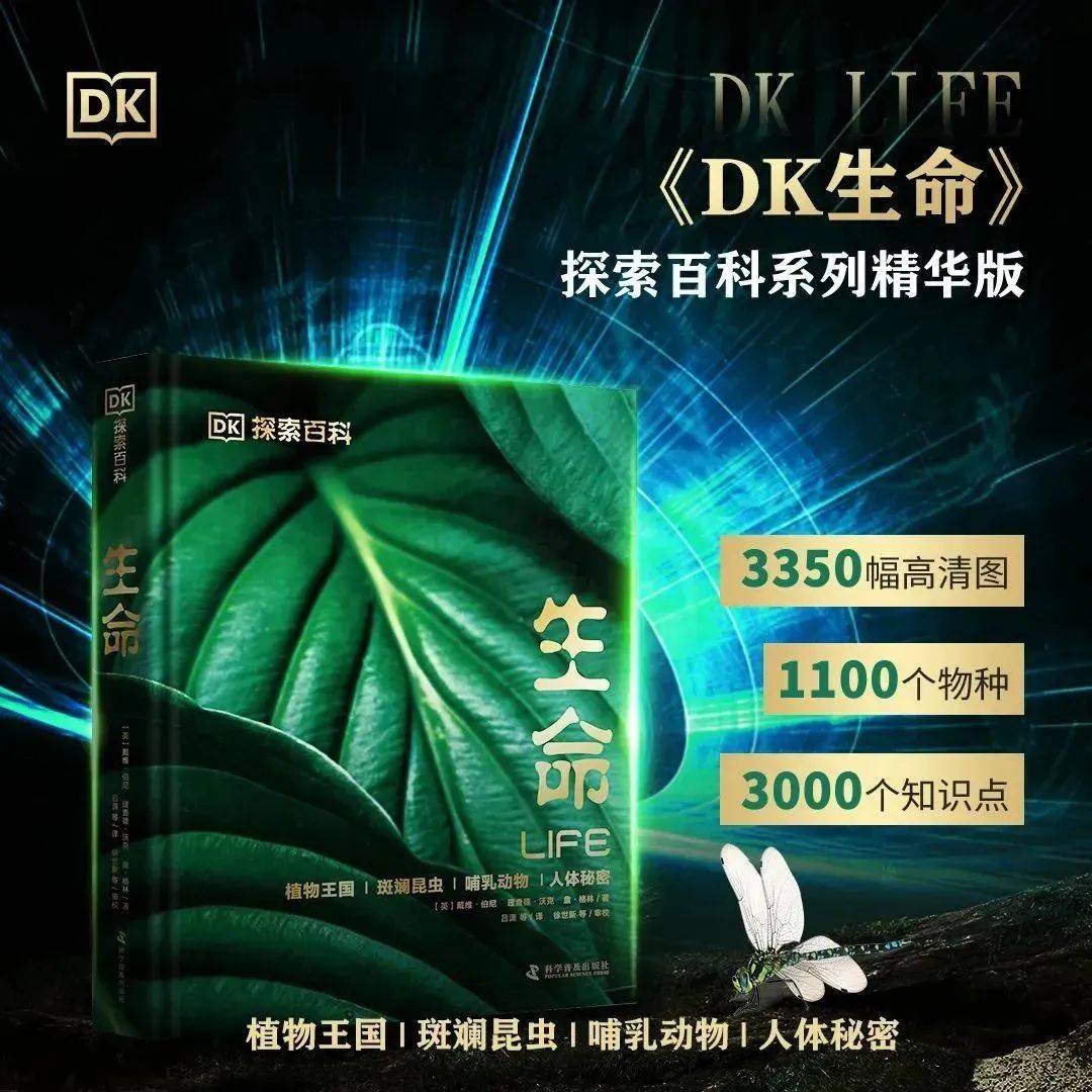 《DK生命》：我立于百万生命之上！_昆虫_蜜蜂_菌丝