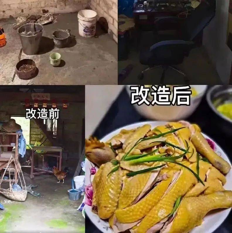 今日份沙雕图侵权网络图片