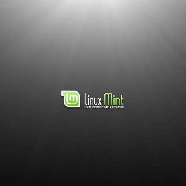 使用 Windows 11 双引导安装 Linux Mint | Linux 中国_Shrink_分区_驱动器