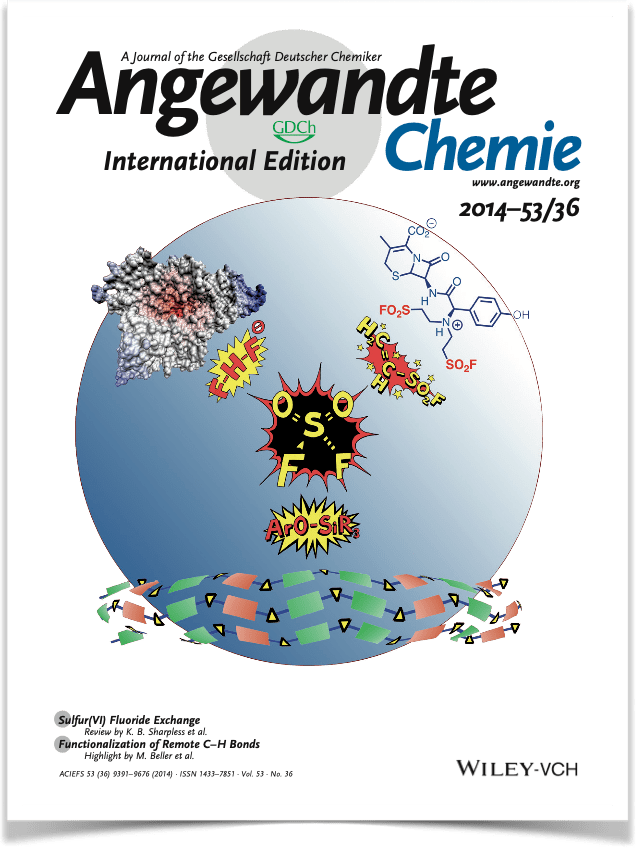 夏普利斯：简单的一生——寻找分子功能，和把它们连在一起_Barry_Karl_时候