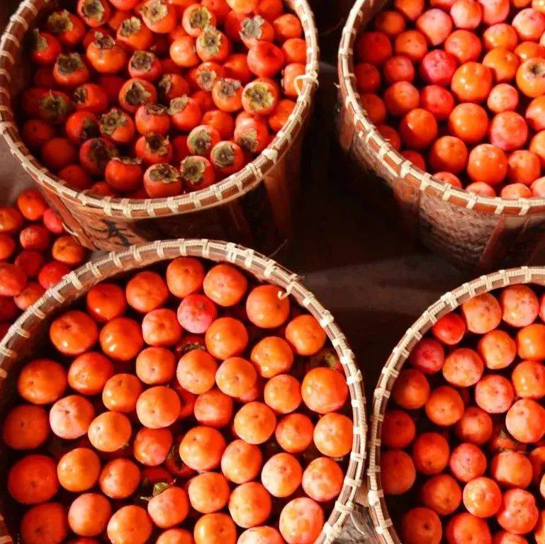 祝你在十月好“柿”发生，心想“柿”成，“柿柿”如意_柿子_红柿_余粮